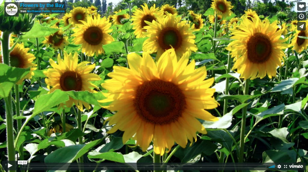 Custom Gallery – Ready Blokcs