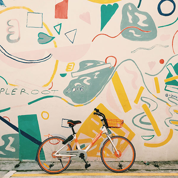 Intro Blocks – Ready Blokcs