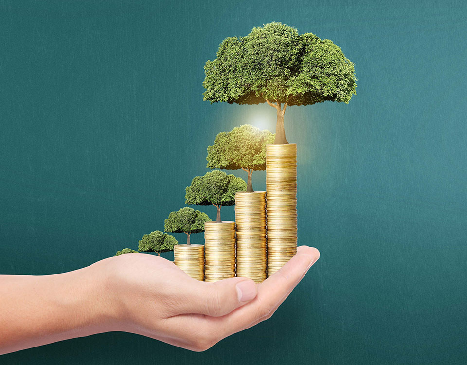 Pride landing page – Ready Blokcs