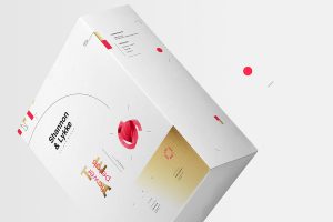 Sinzin Blocks – Ready Blokcs