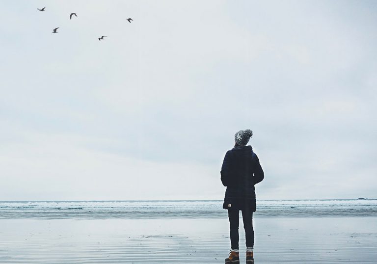 Featured Box – Ready Blokcs